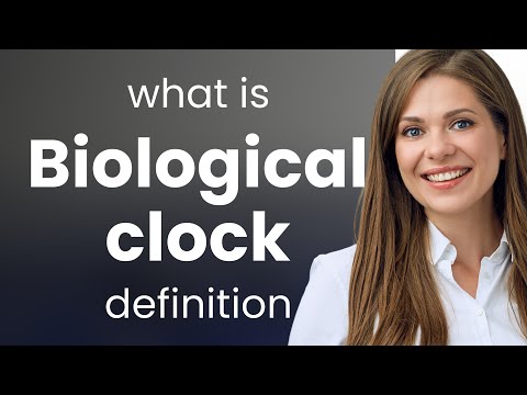 Biological clock • meaning of BIOLOGICAL CLOCK