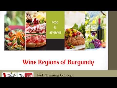 Wine Regions of Burgundy