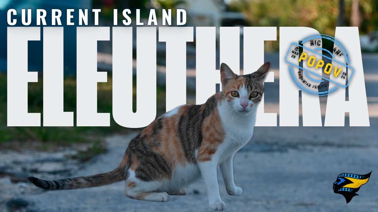 North Eleuthera Adventure: Part Two | The Bahamian Project