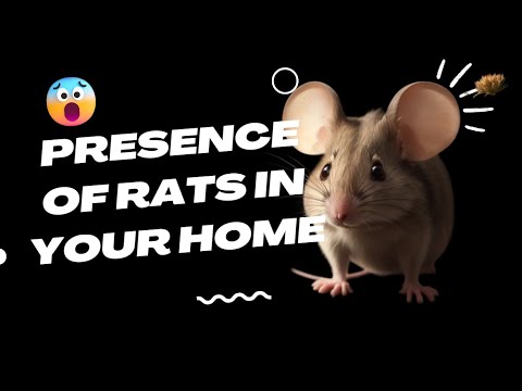 The Spiritual Significance of the Mouse Inside the House