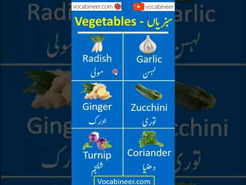 Vegetable Vocabulary with Meanings in Urdu