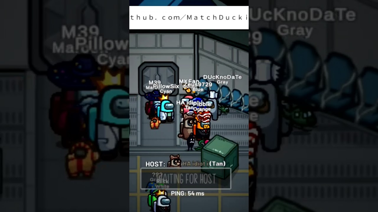 Matchducking! Players Named Ducknodate Will Give a Github Link and Cause Lobbies to Lag! #amongus