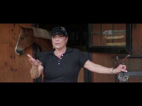What is Equine Therapy?: Retreat Premier Addiction Treatment Centers