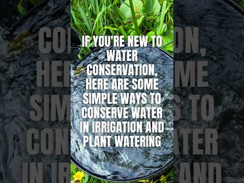Water Wise: A Beginner's Guide to Water Conservation - How to Conserve Water in Your Garden