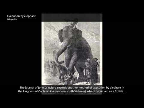 Execution by Elephant - Wikipedia