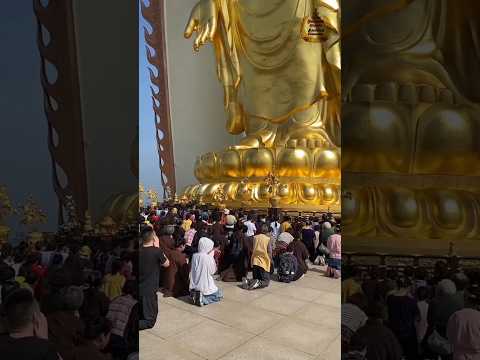Shakyamuni Buddha WhatsApp status P-2 #shakyamuni_buddha #Thailand @shakyamunibiographyofbuddh563