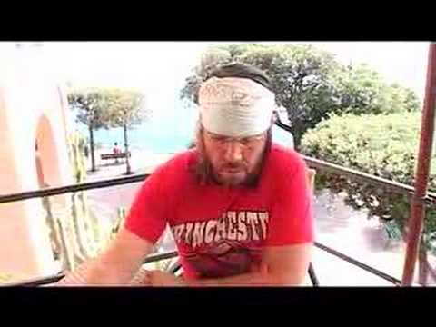 Mario Incandenza, the Embarrassment of the Real, and the (Non-) Reality ...