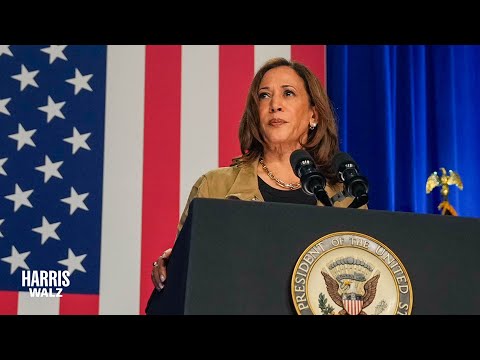 Vice President Kamala Harris' Plan for the U.S. Border