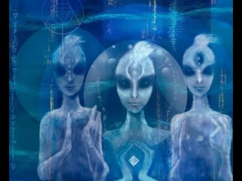 What is the Multiverse / Universe Panel | Adam Apollo, Geraldine Orozco, Saryon White & More