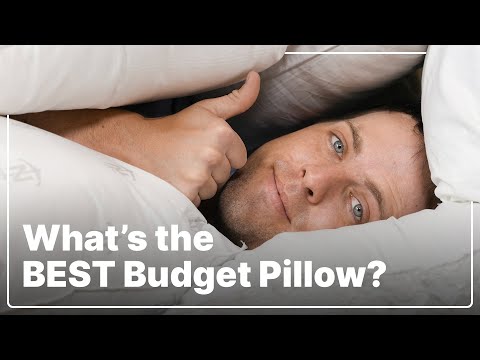 What's the BEST Budget Pillow? (We Test Out 6 We Scored In a Crazy Sale)