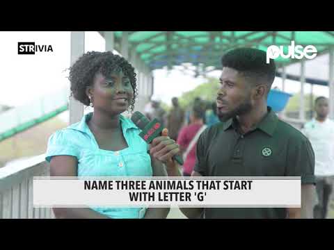 Name Three Animals That Start with Letter 'G' | Pulse Tv strivia