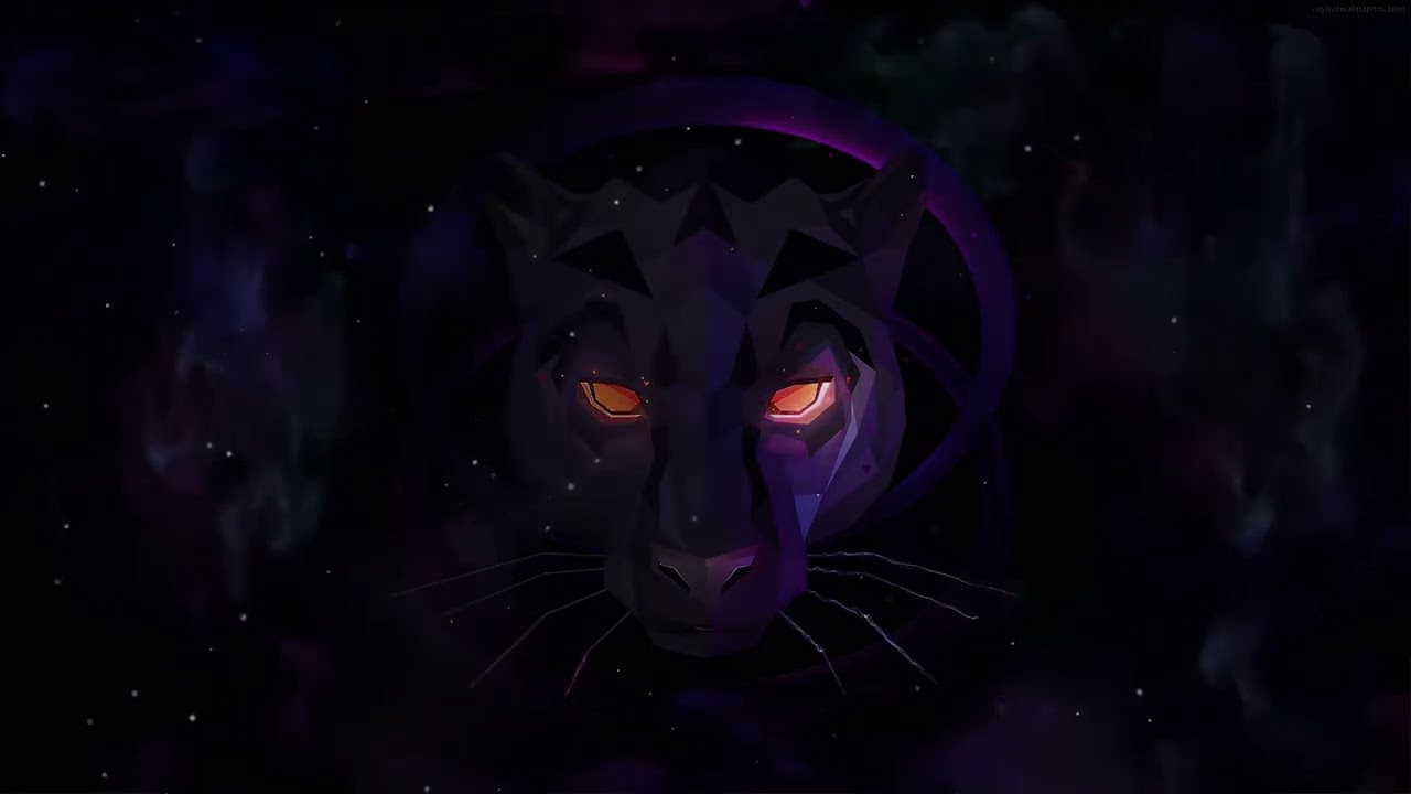 abstract panther | black panther | live 4K wallpaper