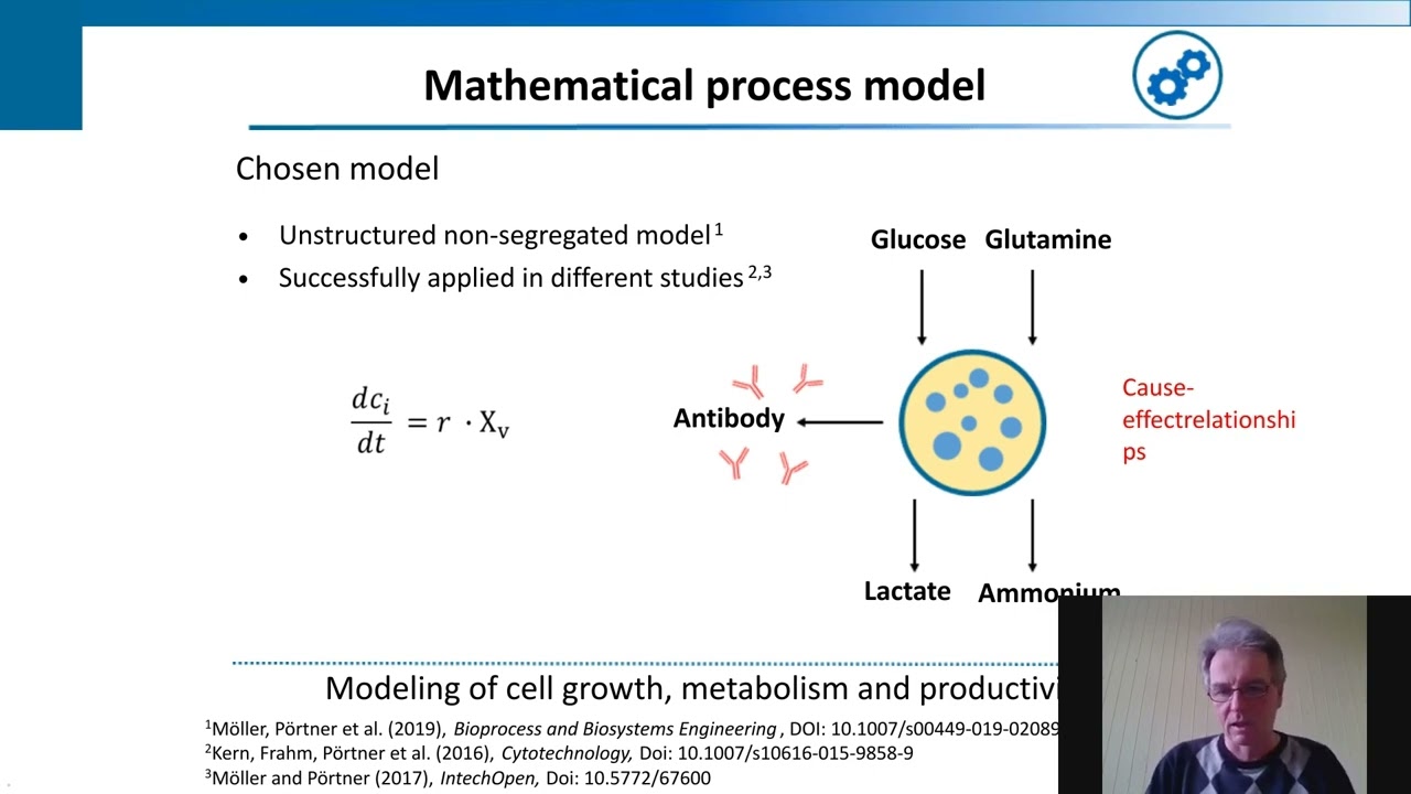 Model Assisted Design, Transfer and Scale Up of an Antibody Producing Cell Culture Process