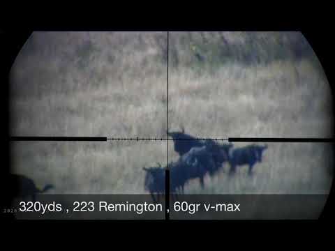 Bluewildebeest 223 remington 320yds
