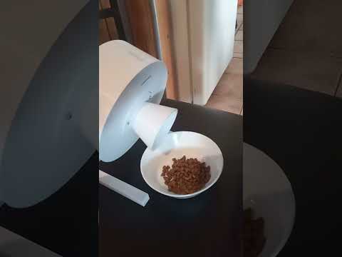 🐱 Simple precision, high reliability no-clog auto cat feeder・ STL File ...