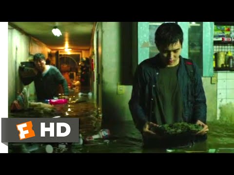 Parasite, The Staircase, The Social Ladder, and the Metaphor Therein ...