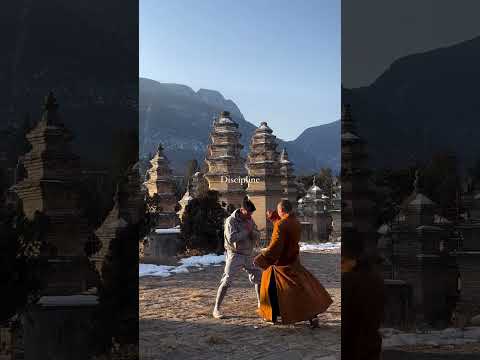 The Daily drill🐉 https://sachkashaolin.ch/