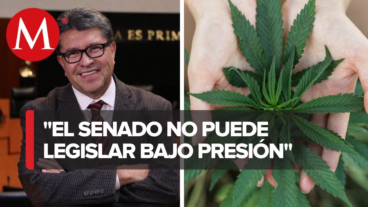 Monreal propone que discusión de mariguana sea hasta el próximo periodo del Senado