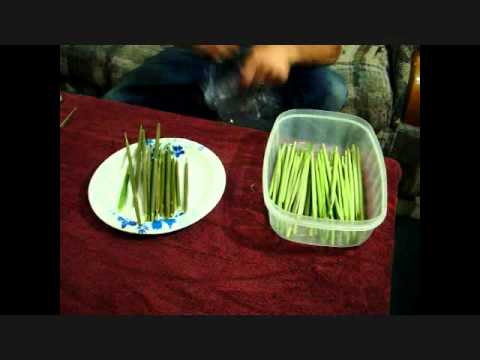 Wild Edibles: Cattail Flower Head, from the pond to the table.