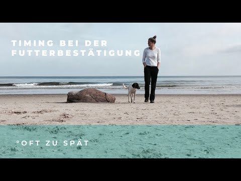 ° Timing bei der Futterbestätigung