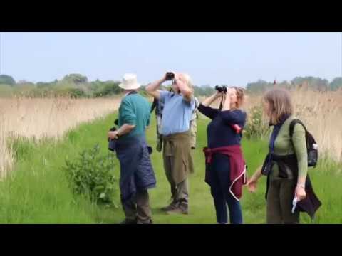 The Stour at Stodmarsh
