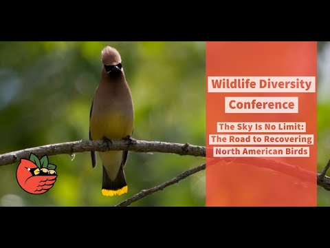 The Sky Is No Limit: The Road to Recovering North American Birds