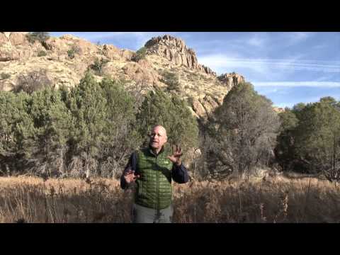 Chiricahua Learn