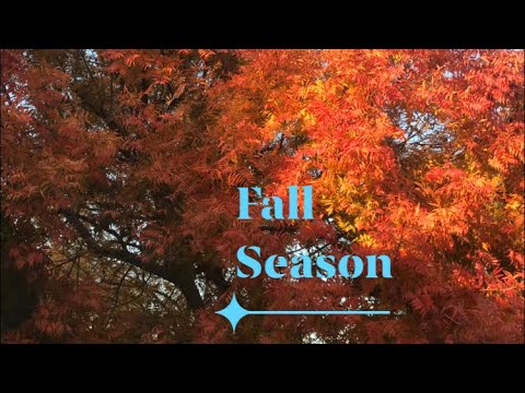 Fall season