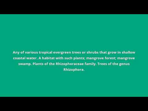 what is the meaning of mangrove