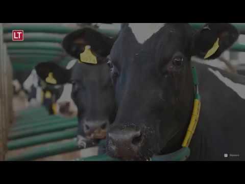 Granjas pioneras en internet: estas son las vacas 5G