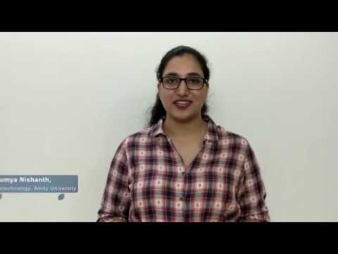 A Video Resume sample by Get Set Resumes