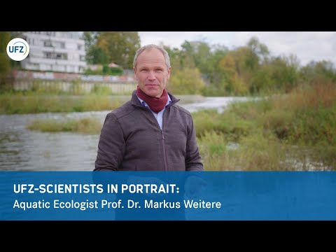 UFZ Aquatic Ecologist Prof. Dr. Markus Weitere in portrait