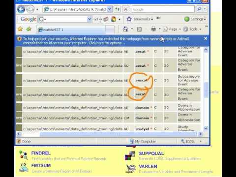 CDISC Builder Tutorial: Match Similar Variable Names and Labels