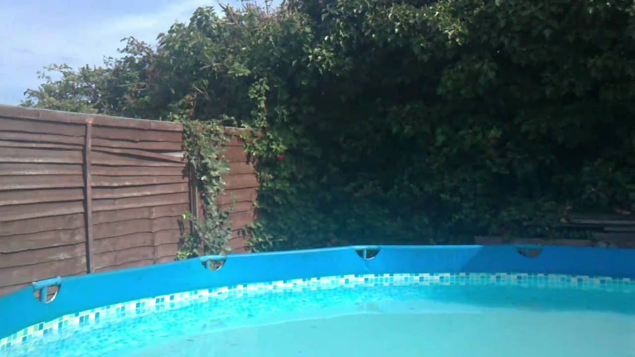Crazily huge dragonfly!