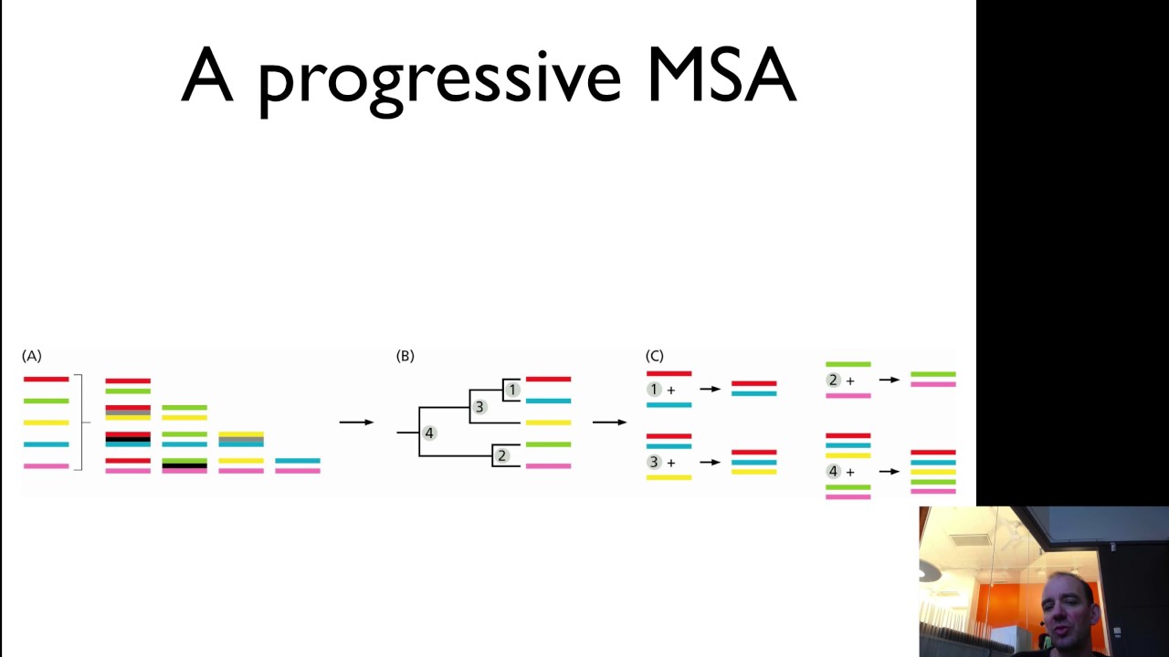 Multiple Sequence Alignments Introduction
