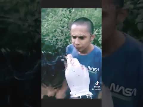 Vídeo gore💀