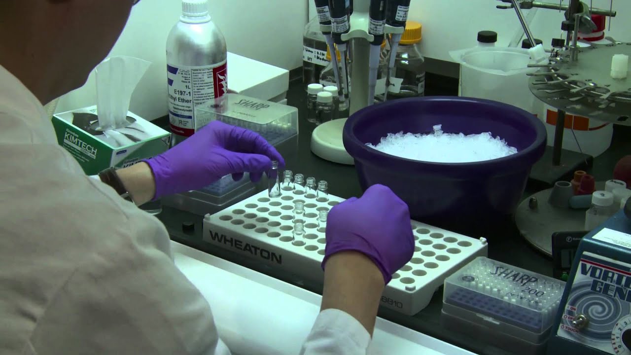 How is trichloroethylene metabolized?