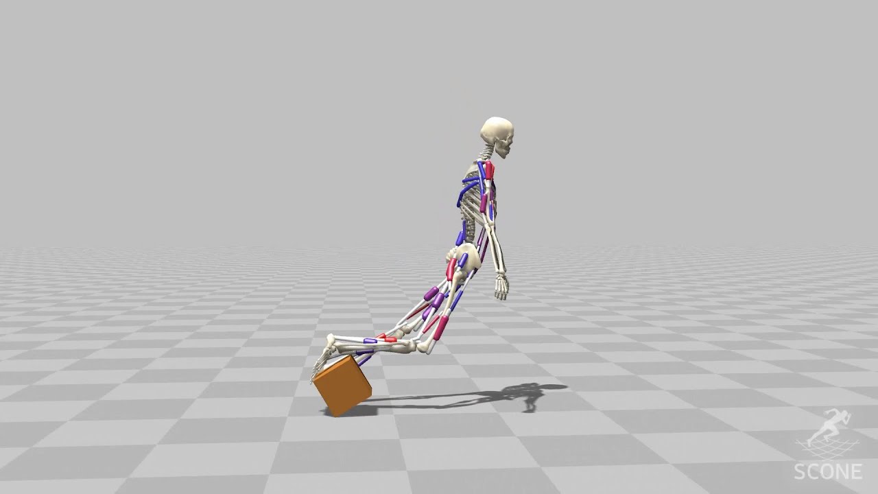 Tripping and Slipping Simulations (short)