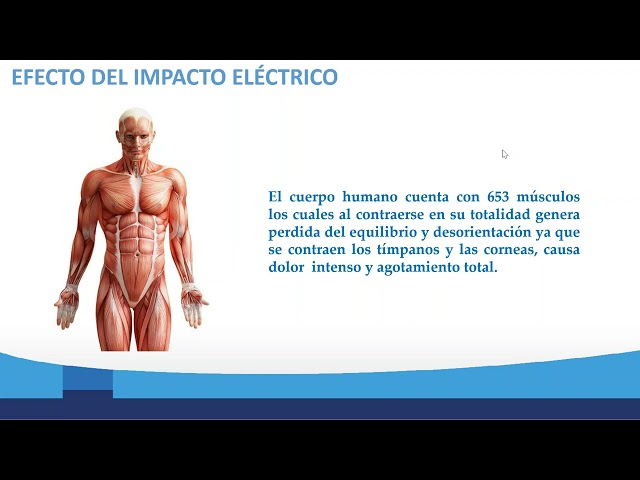 SYSCOM: SYS12000-127AFV2-YONUSA - Energizador ANTIPLANTAS de 10,000Volts-5JOULES/10,000 Mts ...