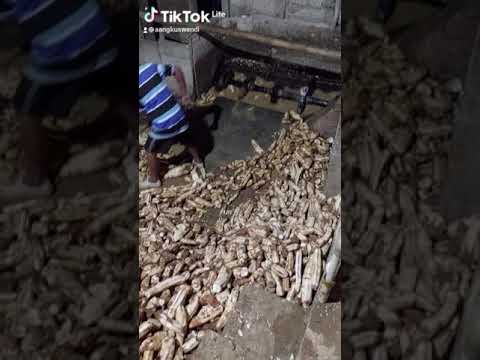 Proses pembuatan tepung tapioka