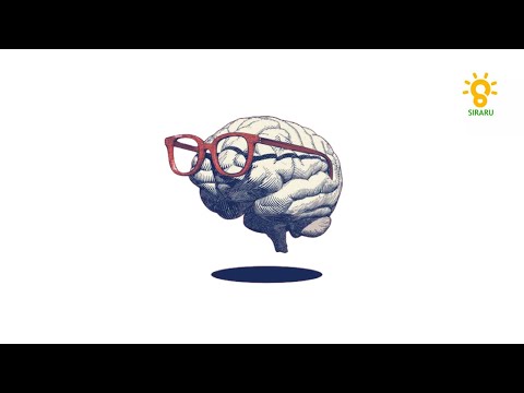 Eps 15 | Mind, Brain, and Education