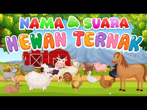 Belajar mengenal nama dan suara hewan | Hewan Ternak