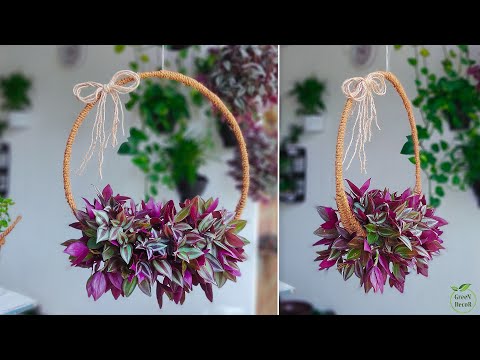 How to Make Hanging Ring Plants Decoration | Hanging Planters | Indoor Hanging Plants//GREEN DECOR
