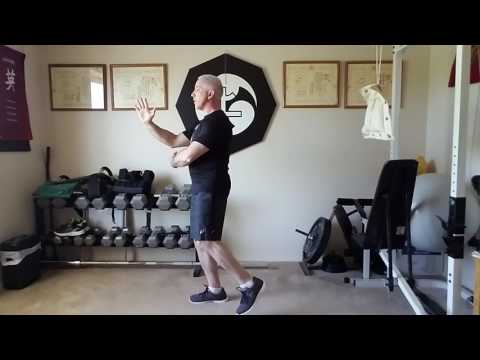 Repulse Monkey Review | Energy Exercise