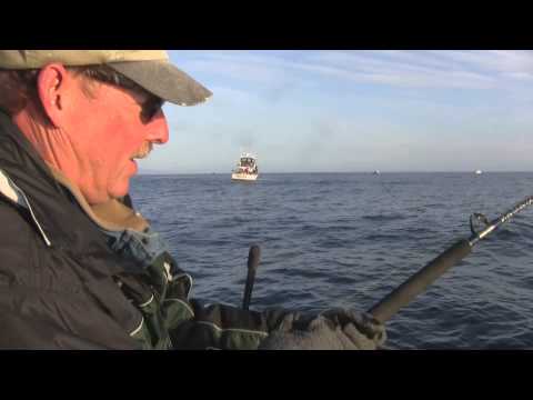 Halibut Fishing at Pillar Point, East of Sekiu Washington | SquidPro ...