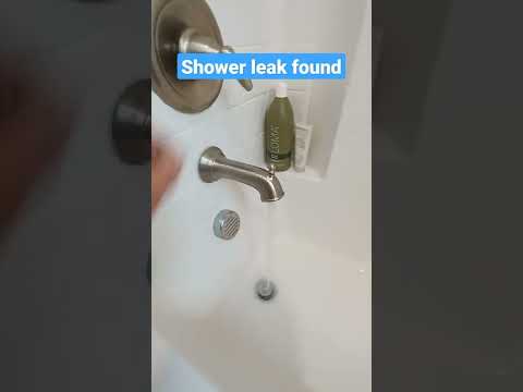 Shower Leak Repair