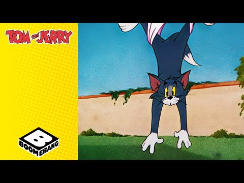 Tom Takes to the Skies | Flying Cat | Tom & Jerry | @BoomerangUK