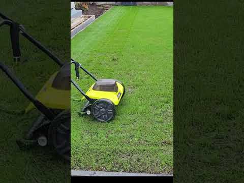 Ryobi 18v Reel Mower first mow new Ryegrass lawn! #shorts