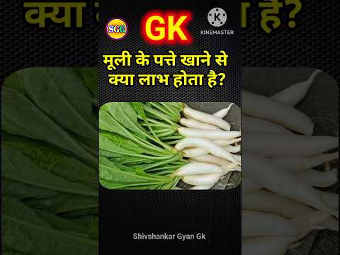 GK Question/GK In Hindi/GK Question and answer/GK Quiz//KB World Gk// #kbworldgk #quiz #knowledge