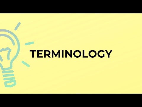 What is the meaning of the word TERMINOLOGY?